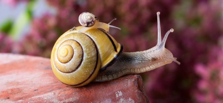 Rückbildung | Jutta Engel